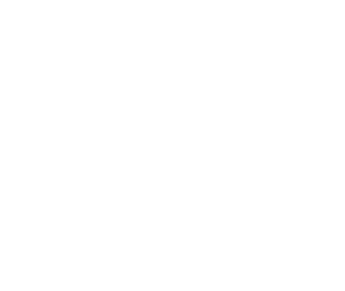 Envision Entertainment & Events Co.